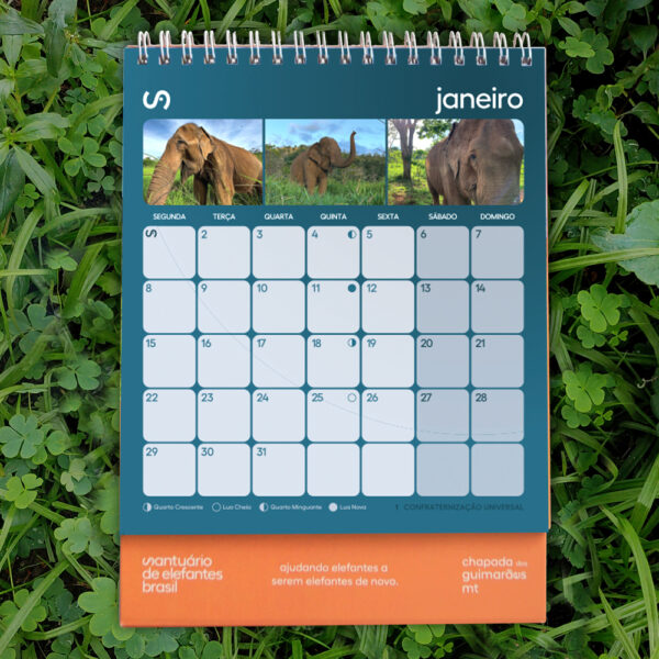 Kit Calendário SEB + Planner Semanal + Agenda 2024 | Santuário de ...