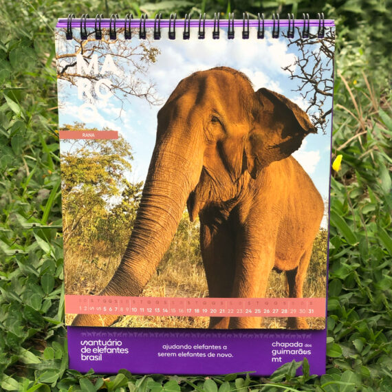 Calendário de Mesa SEB 2025 - Santuário de Elefantes Brasil